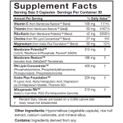 ATP 360® - Supplement for Mitochondria - Researched Nutritionals